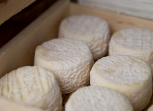 Can You Eat Cheese Rinds? | Savery Grazing